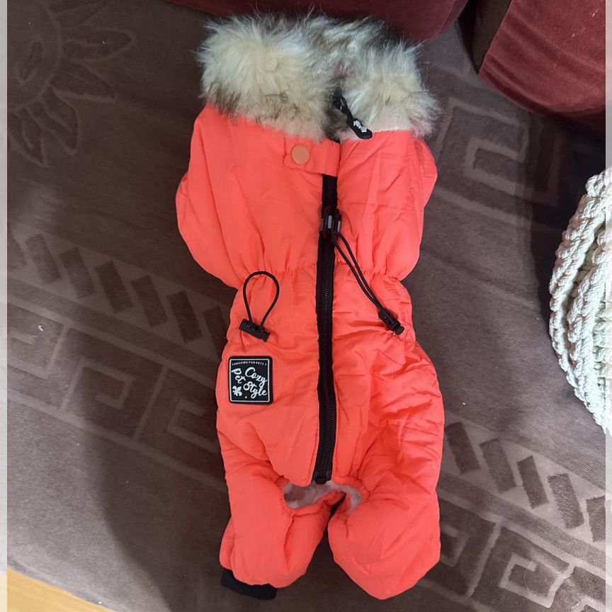 Одежда для собак мелких пород