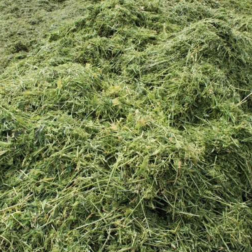 Сенаж (разнотравия)