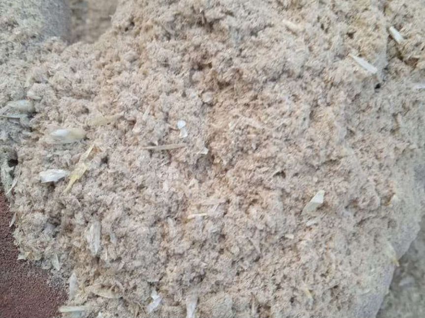 Мучка пшеничная