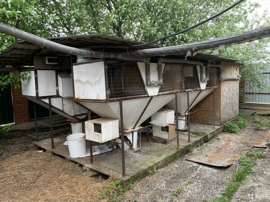 Клетка для кролика