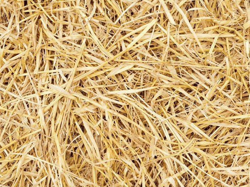 Сено,солома в тюках,а так же солома в рулонах