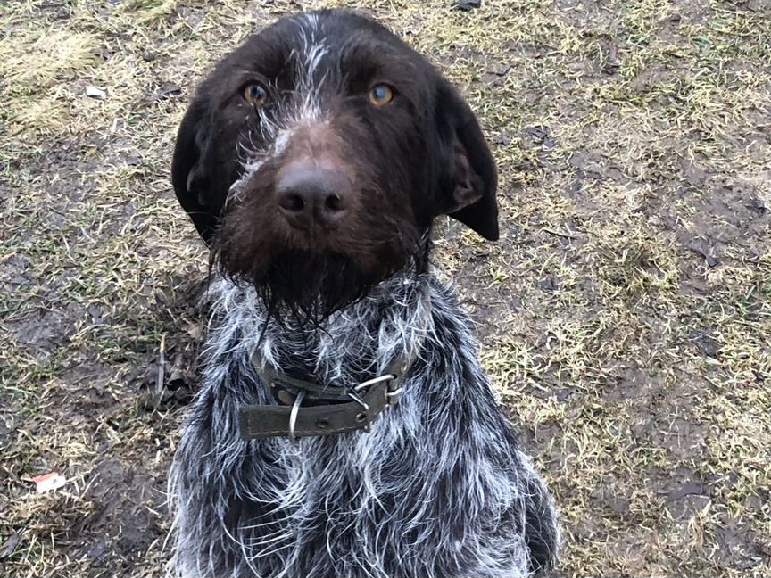 Дратхар,вязка