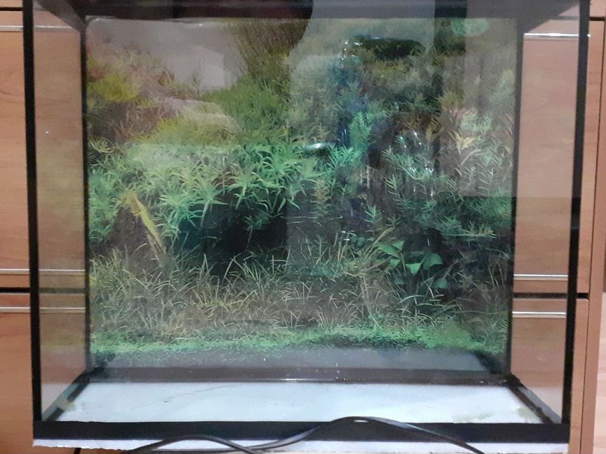 Аквариум, 25л