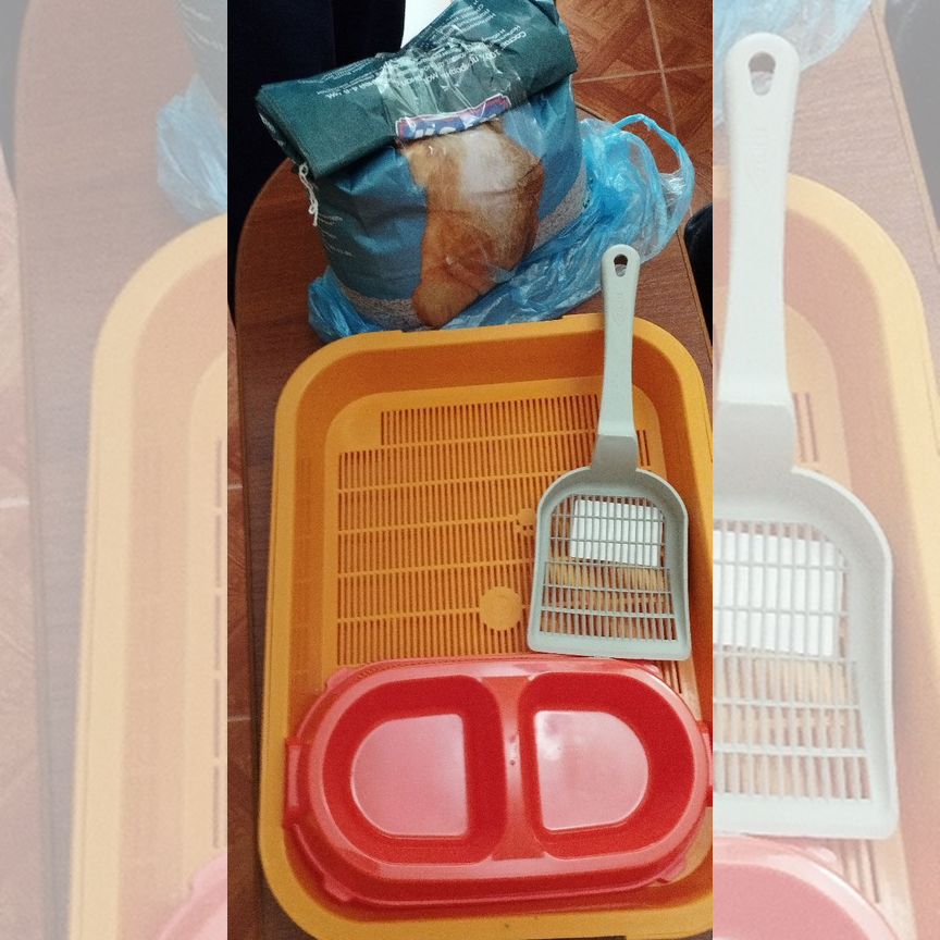 Лоток, миска, лопатка, наполнитель для кота/ кошки