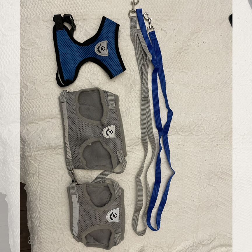 Шлейки для собак