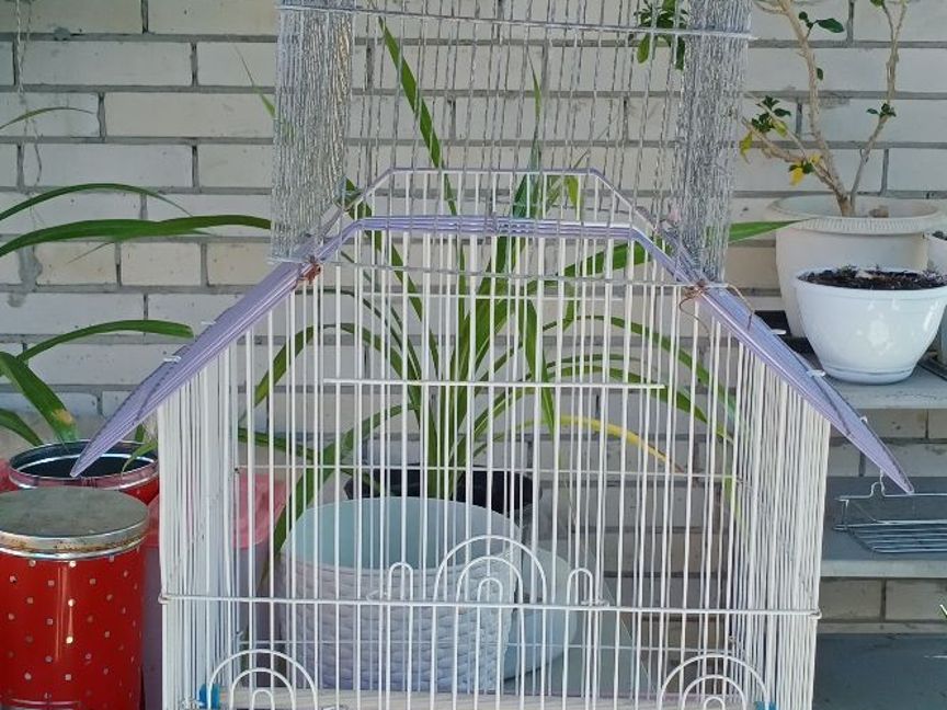 Клетка