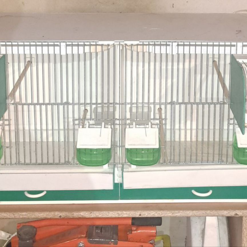 Клетка бокс для разведения птиц