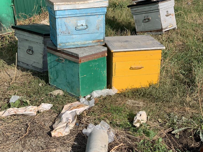 Облетники маток, эл.стряхиватель