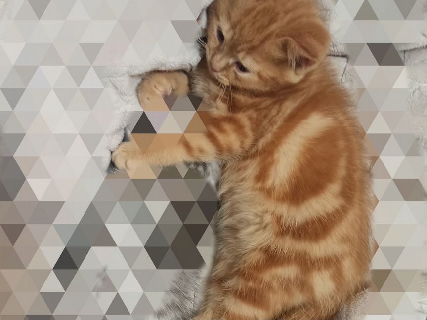 Солнечный мальчик