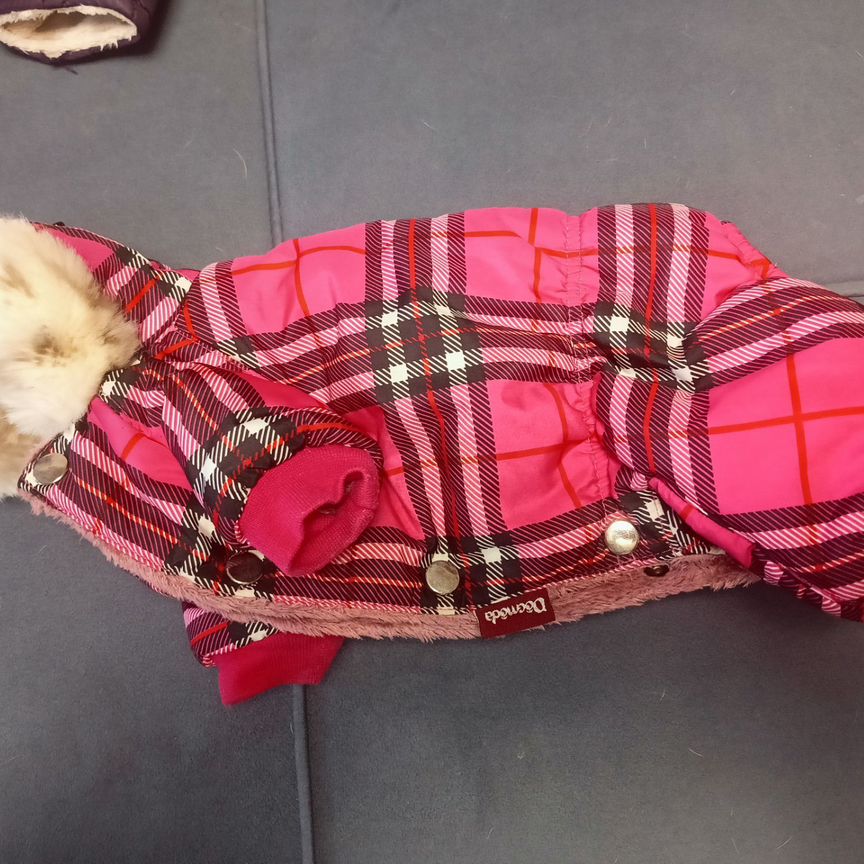 Вещи для маленькой собаки