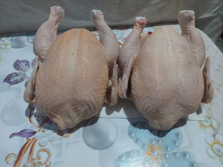 Куры бройлеры тушки