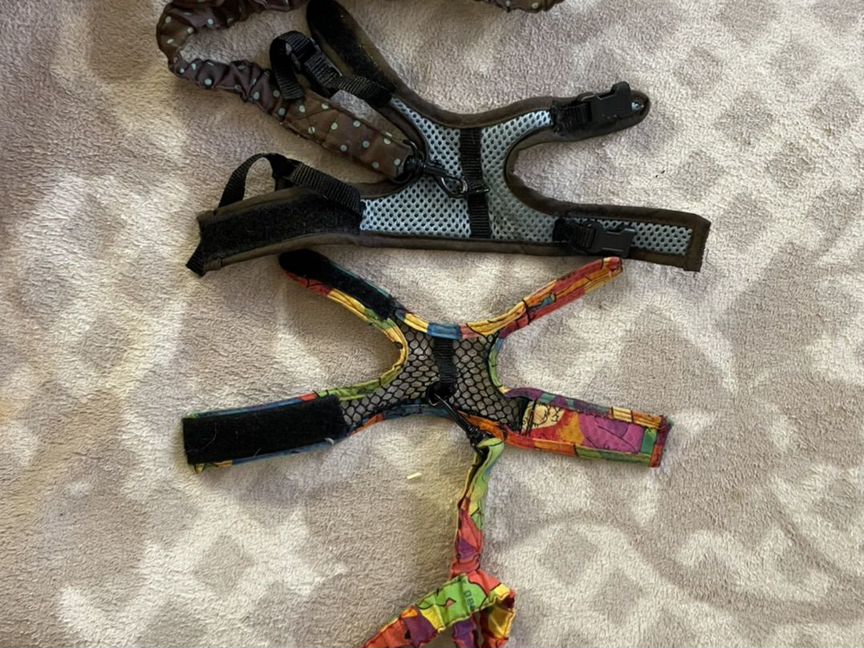 Шлейки для хорьков и грызунов