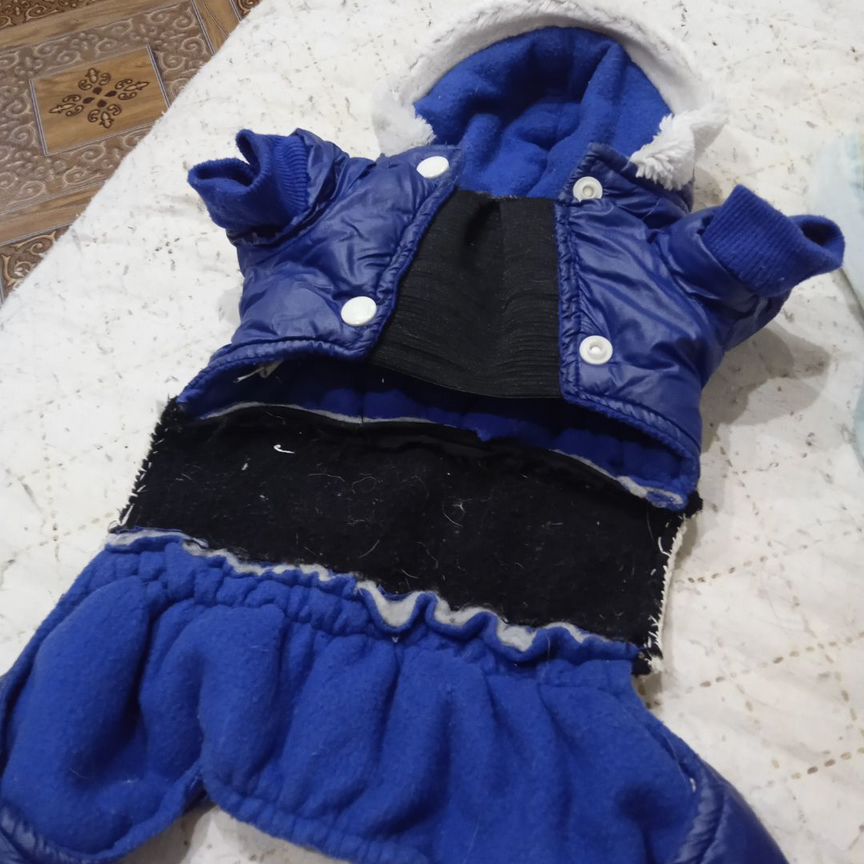 Комбинезон для животных