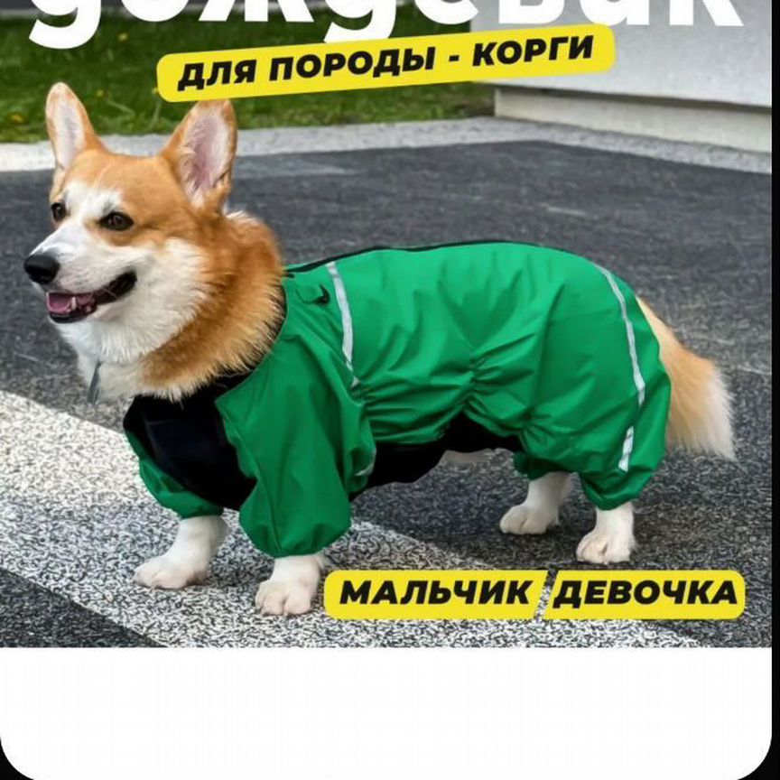 Комбинезон на корги