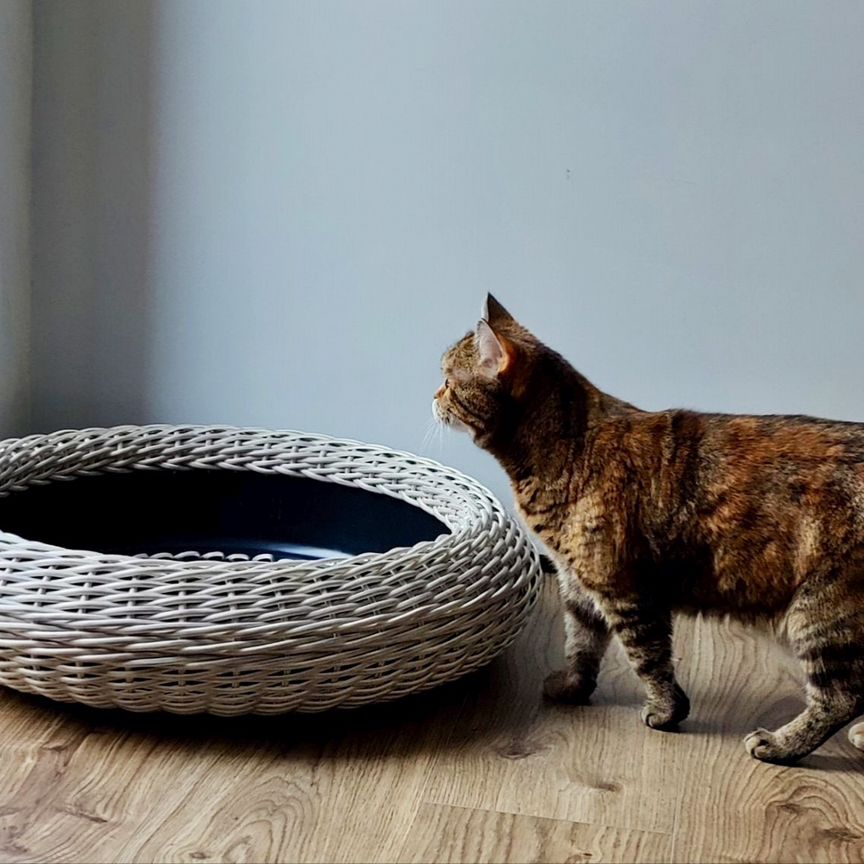 Лежанка для животных из ротанга