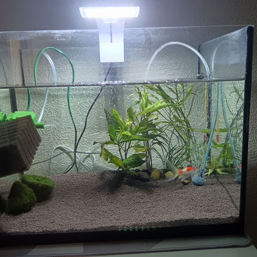 Аквариум 35л с золотой рыбкой