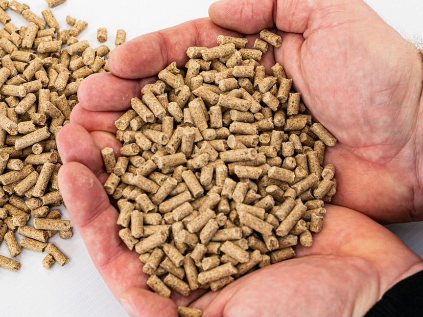 Корм для кур, свиней, коров, кроликов, овец опт