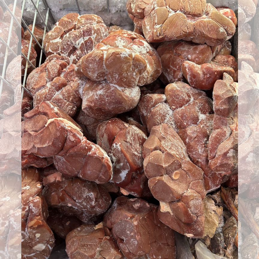 Почки говяжьи