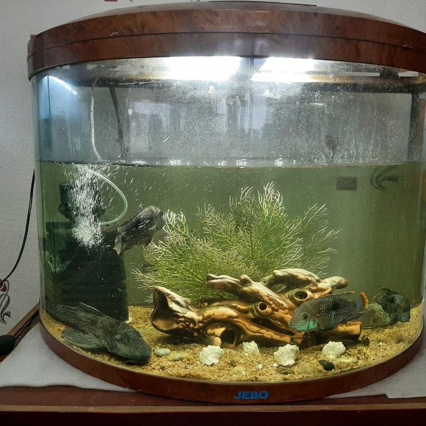 Аквариум Jebo R790