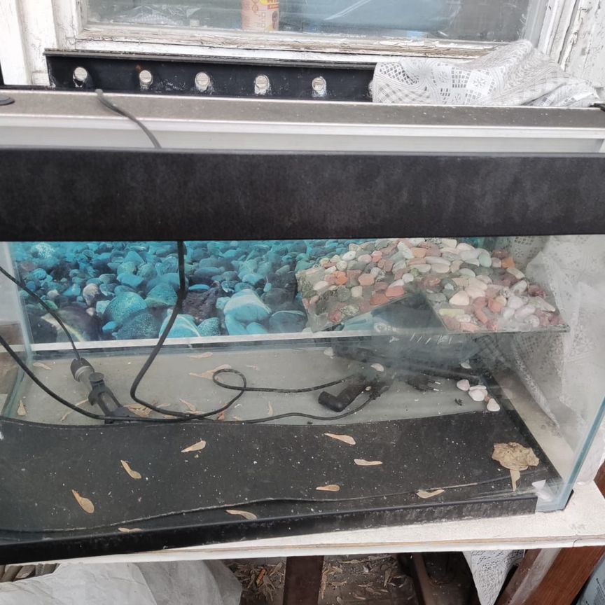 Аквариум б/у самовывоз