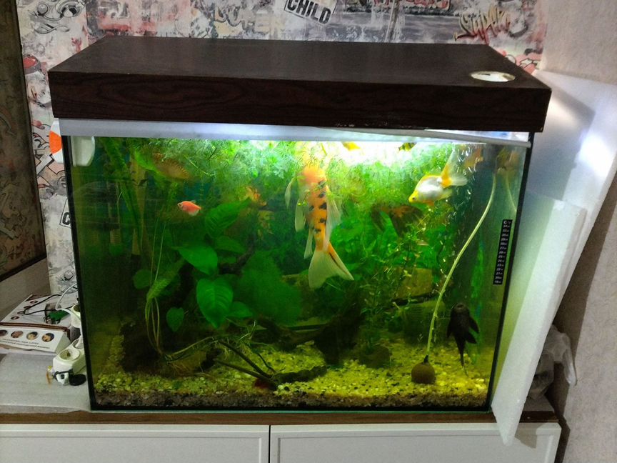 Аквариум компрессор фильтр