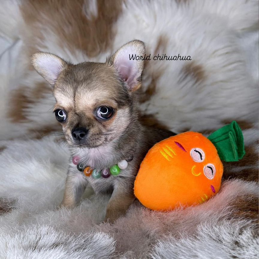 Кукольный Мини Мальчик