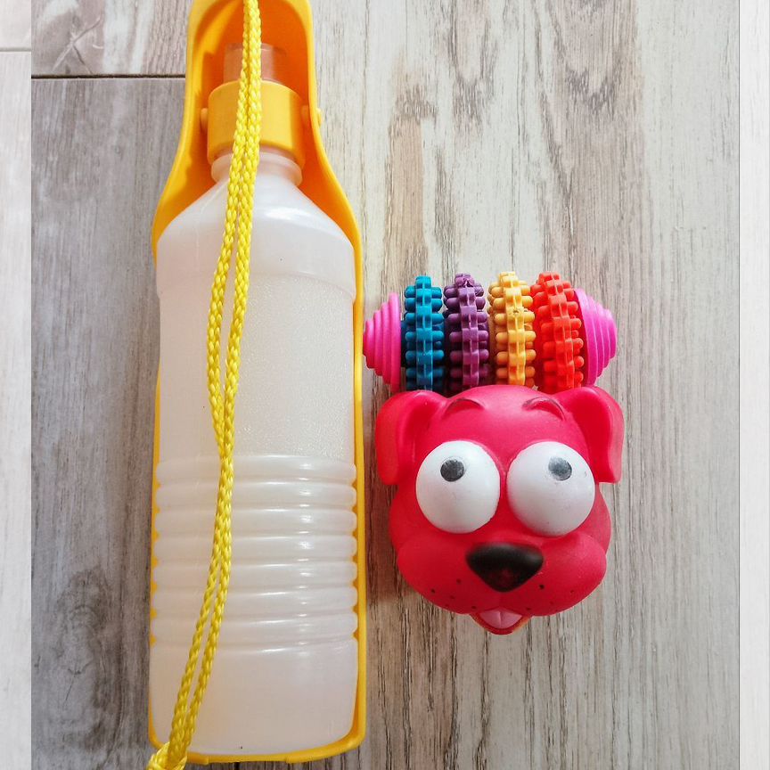 Игрушки и поильник для собаки