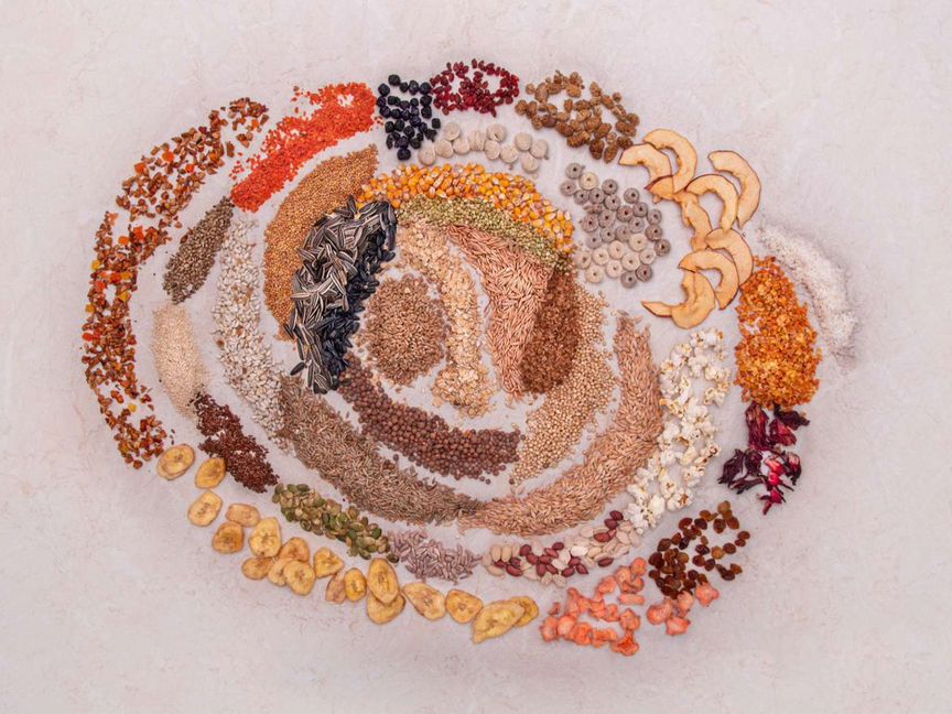 Корм для крыс. Для качественной жизни