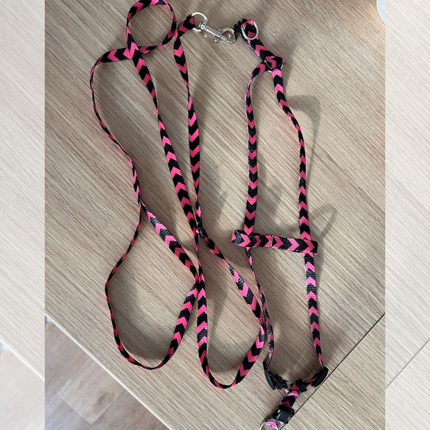 Шлейка для кошки