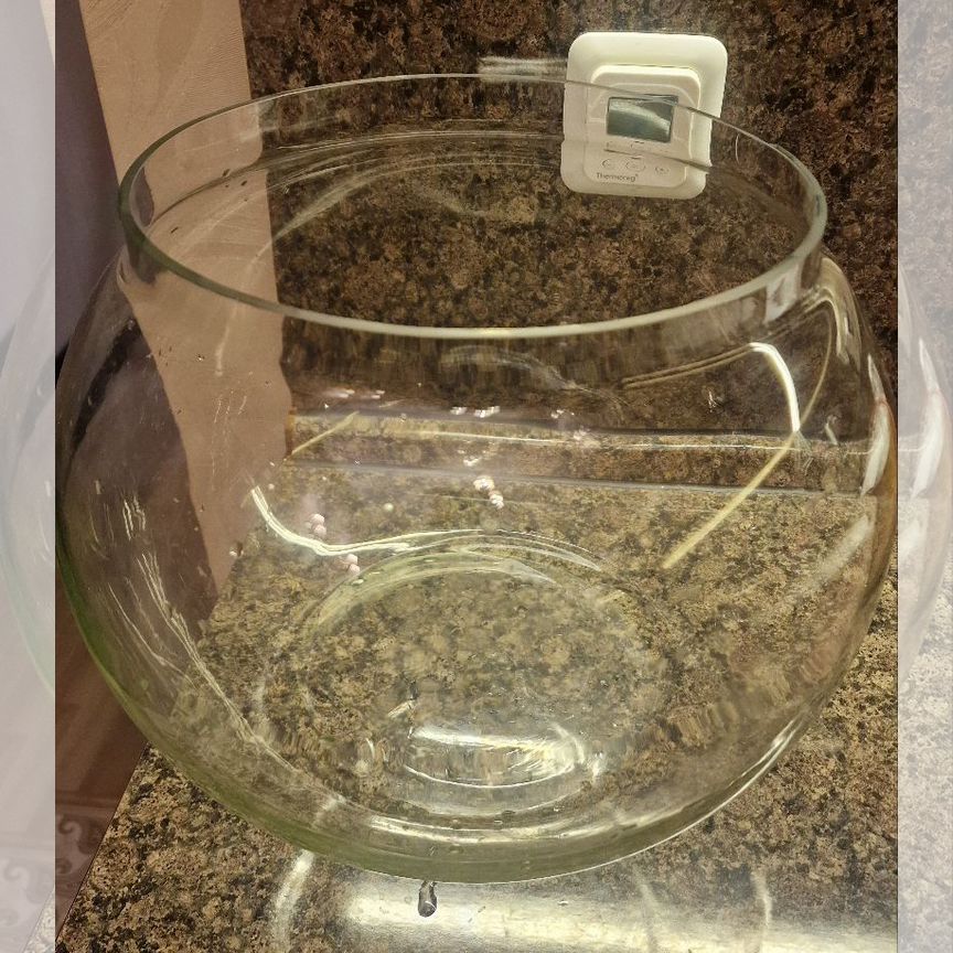 Аквариум круглый 10 литров