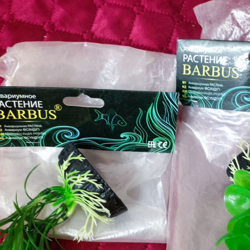 Аквариумные растения