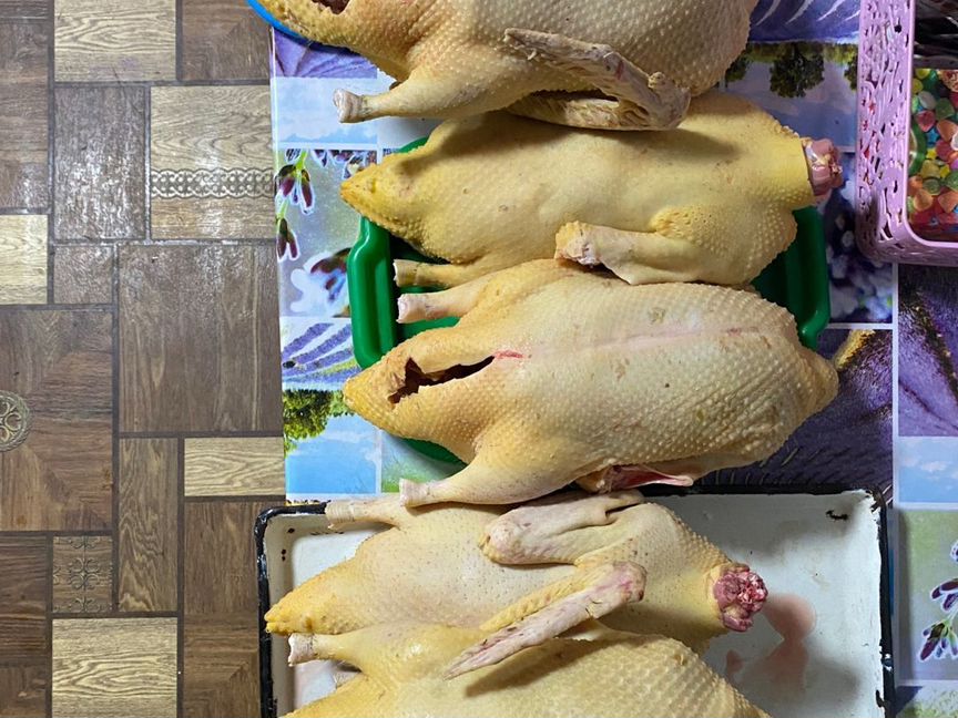 Утки муларды