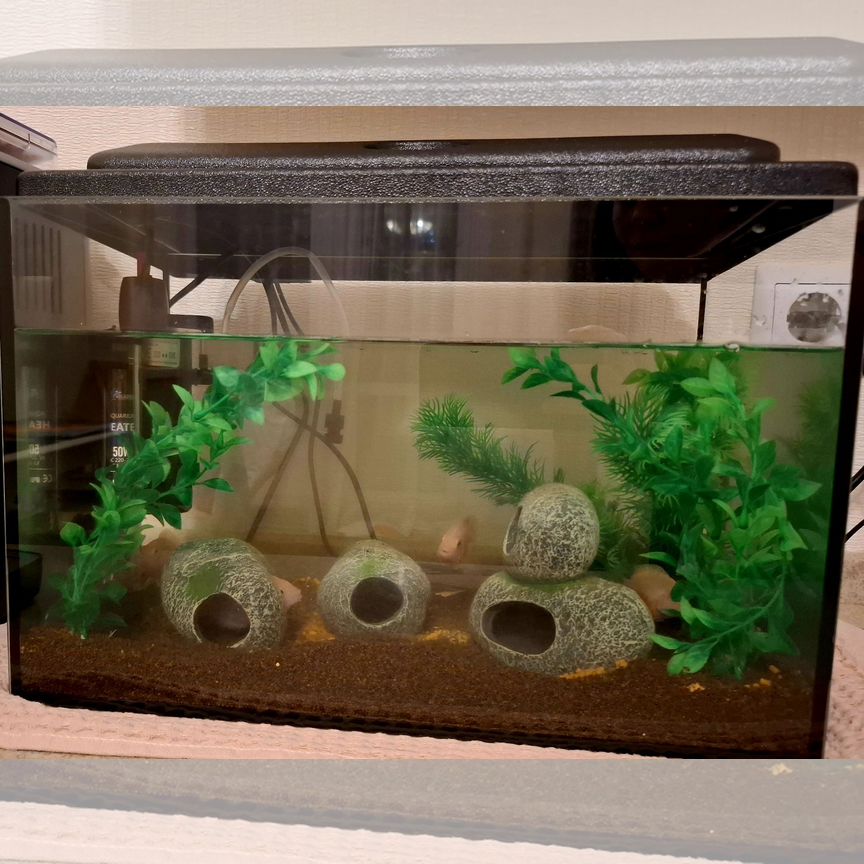 Аквариум 20 литров