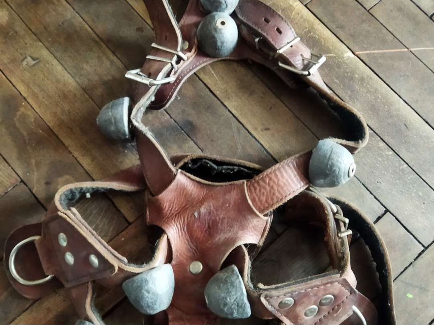 Грузы для спортивных собак