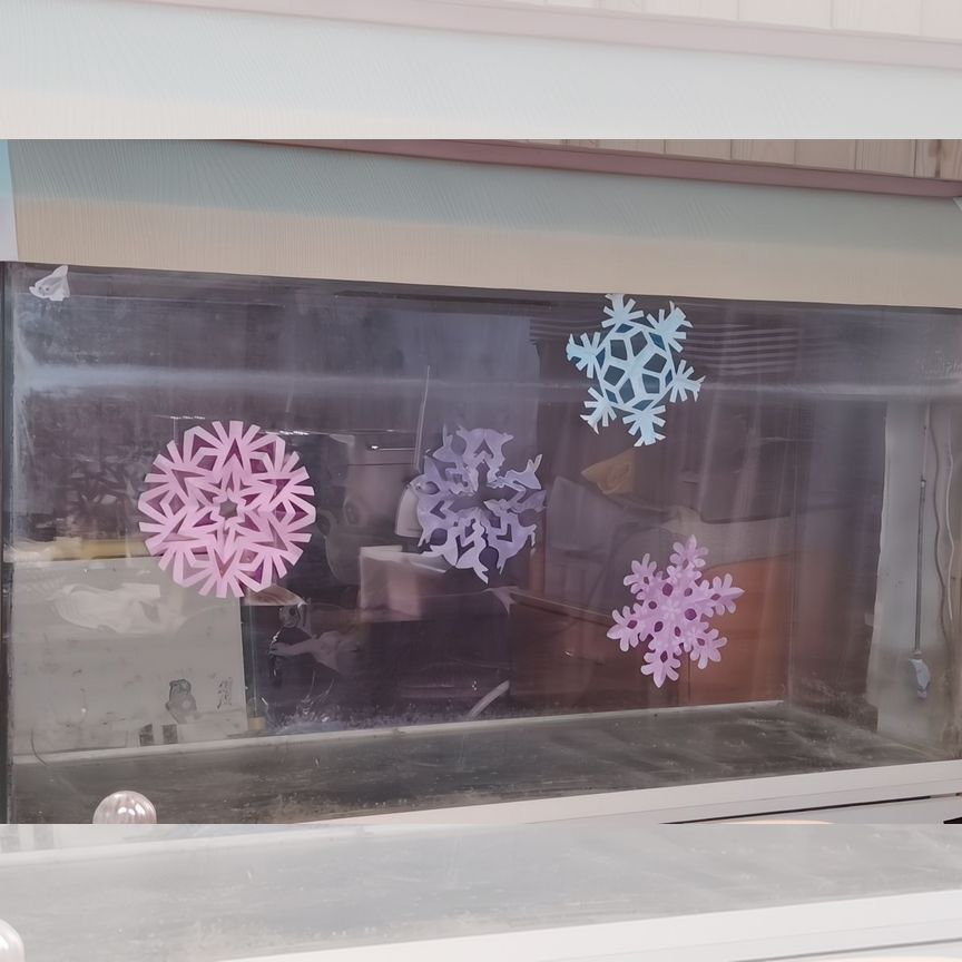 Продам аквариум на 260 л. с внешн. фильтром Tetrа