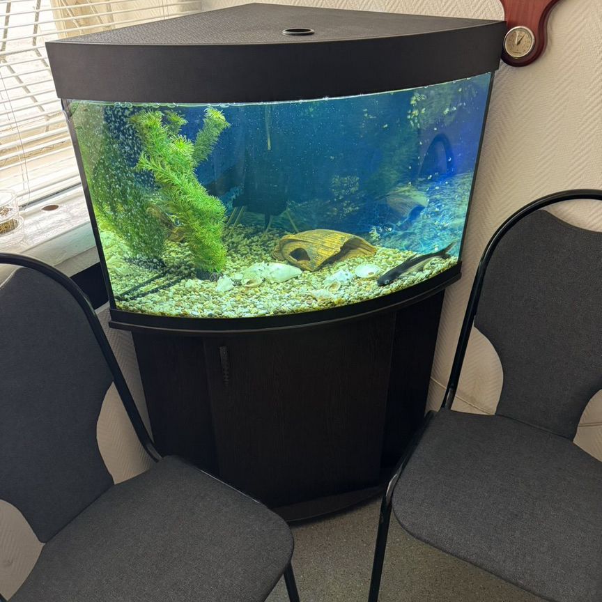 Аквариум с тумбой бу