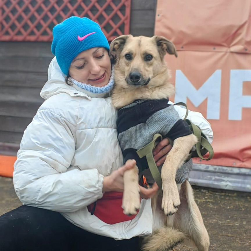 Очаровательный собакоребёнок ищет родителей