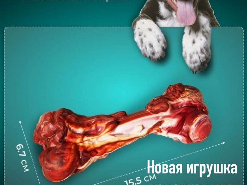 Новый грызунок для собак