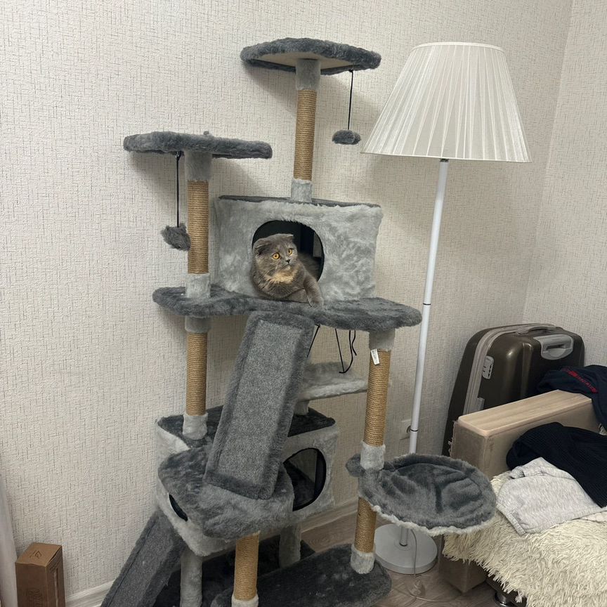 Когтеточка домик для кошки бу