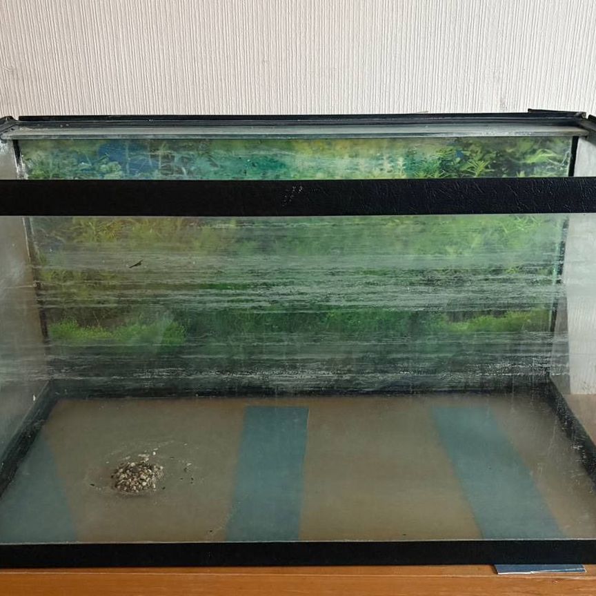 Аквариум бу