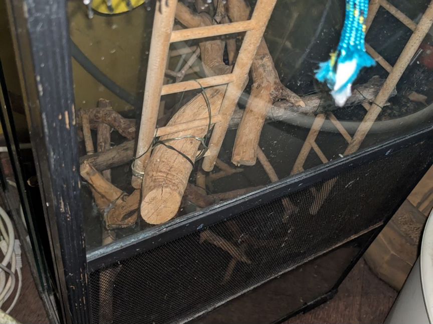 Террариум для рептилий