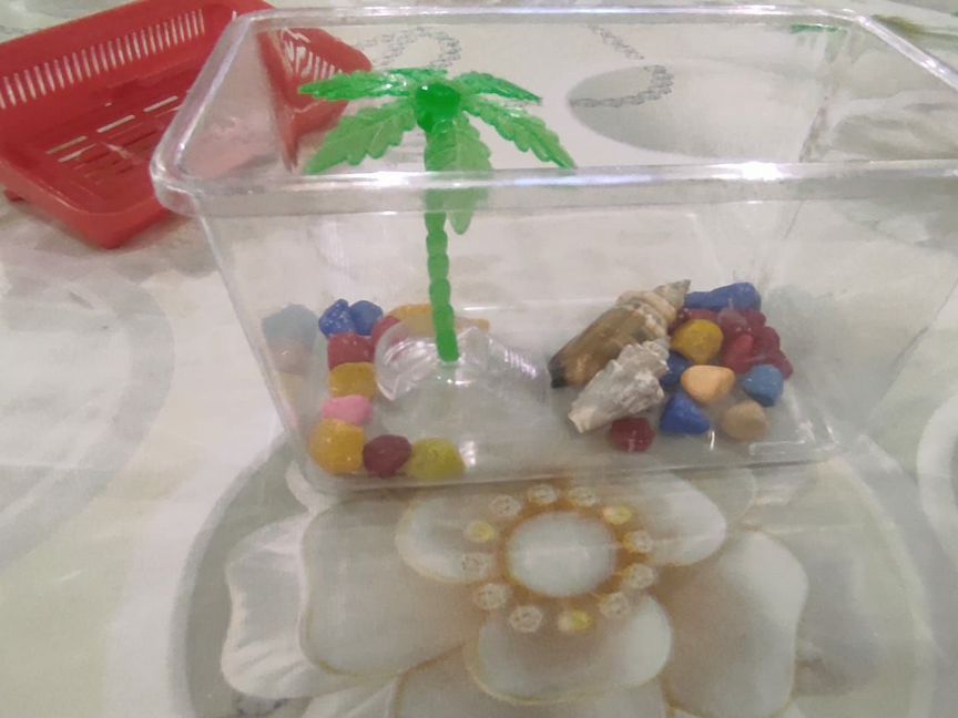 Переноска для черепашек и рыбок