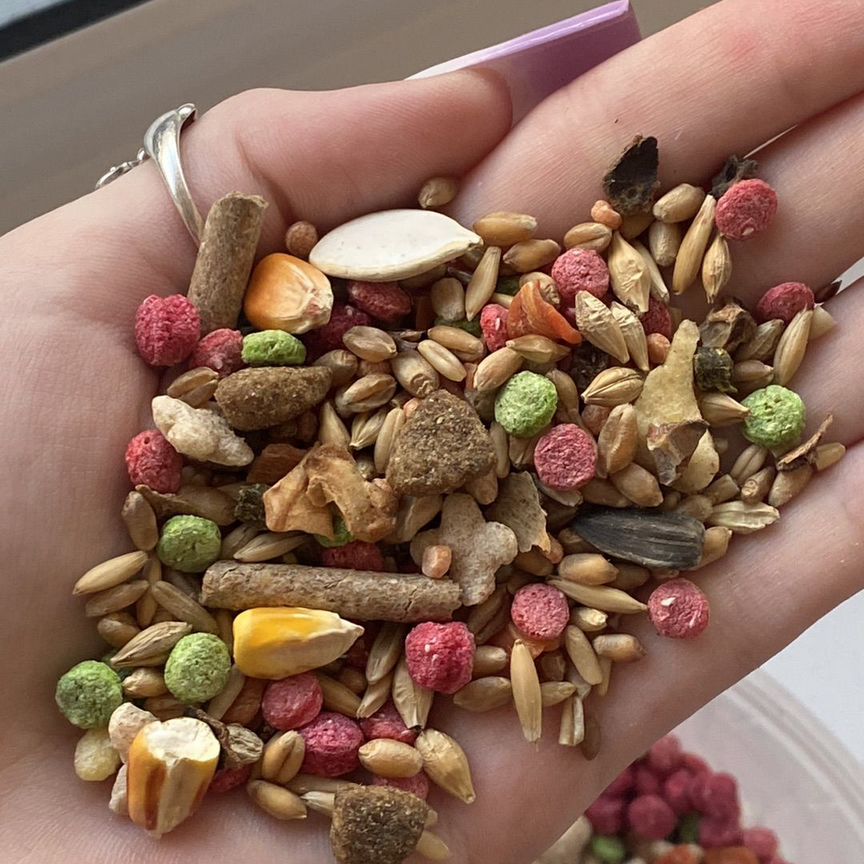 Остаток корма для крыс