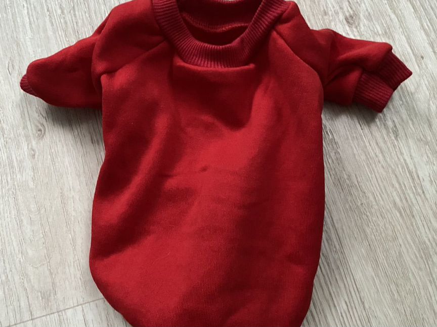 Одежда для кошек