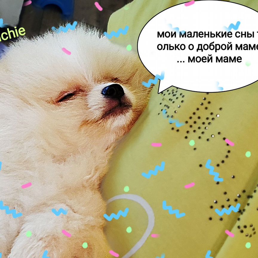 Суперские мишки