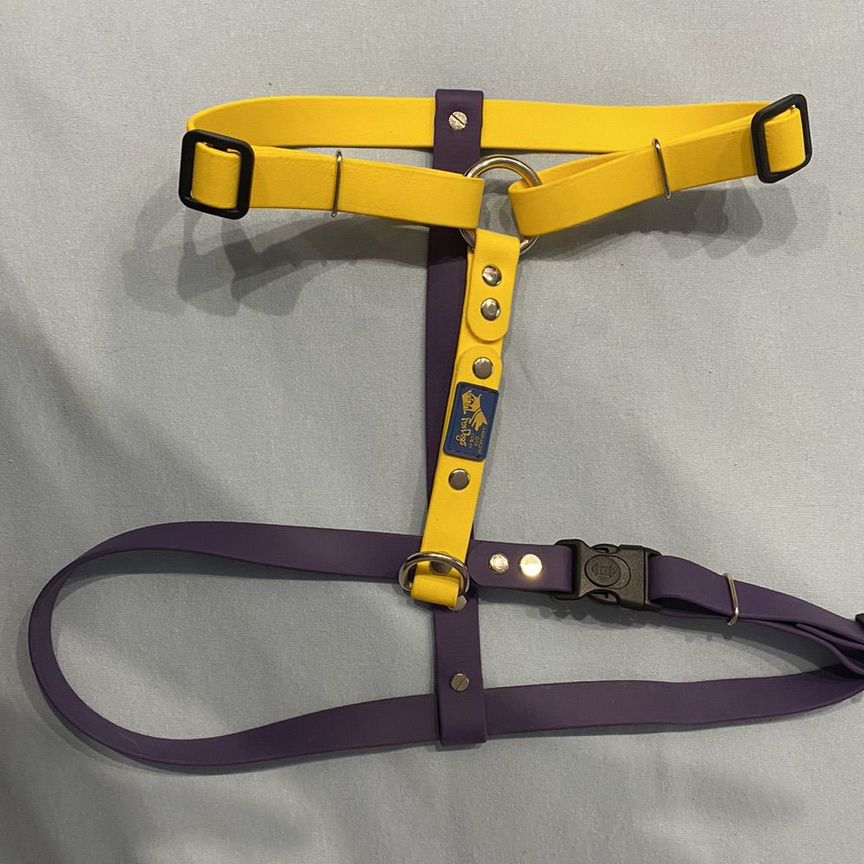 Анатомическая шлейка из биотана (США)