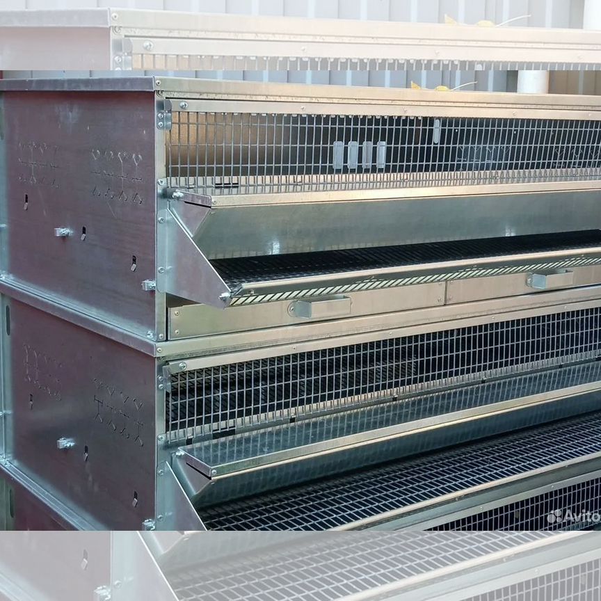 Клетки для перепелов бу