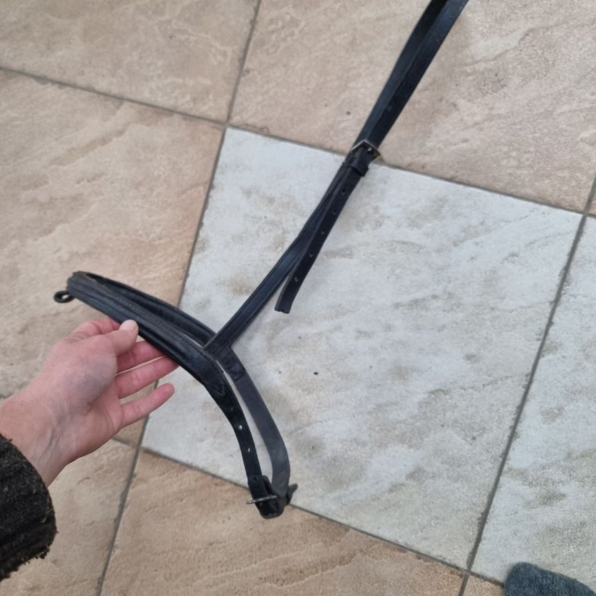 Капсуль для лошади