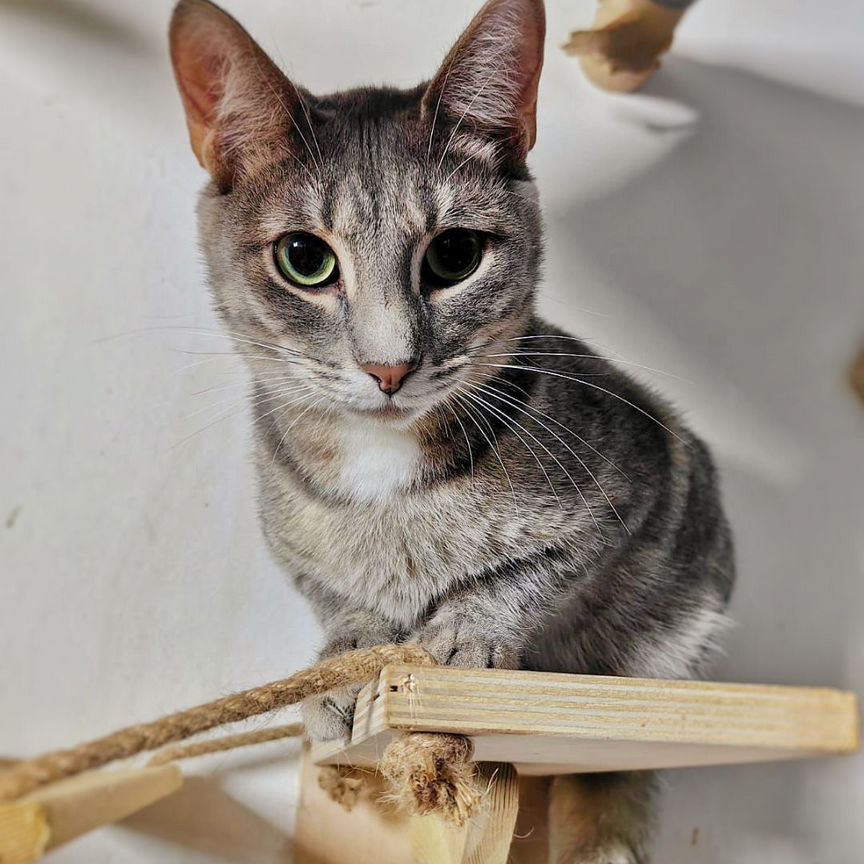 Выброшен на произвол судьбы