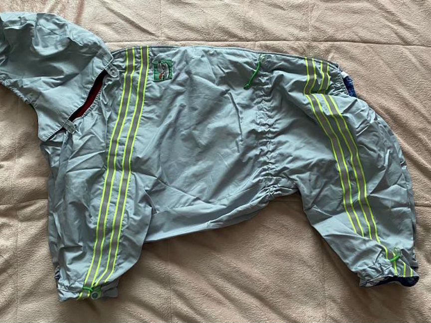 Комбинезон для собаки